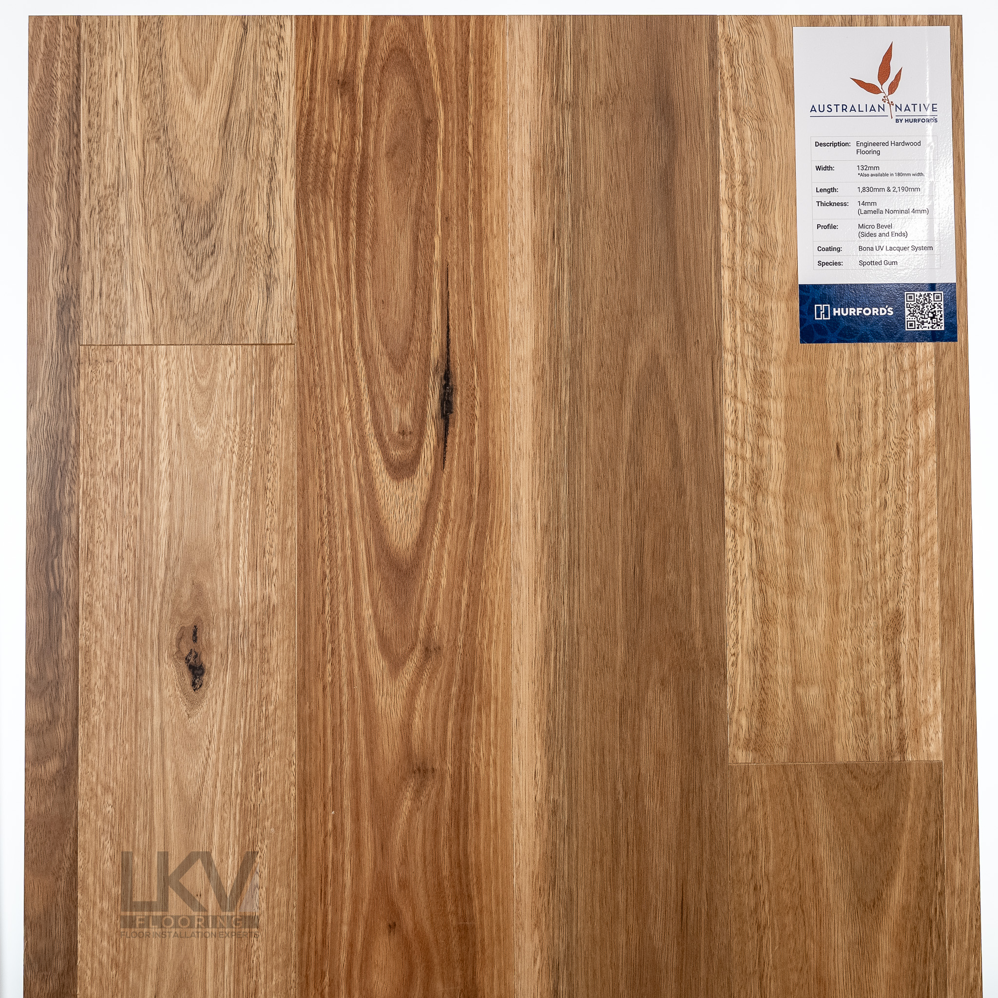 Australian Native - Spotted Gum - LKV Flooring | Showroom & Design